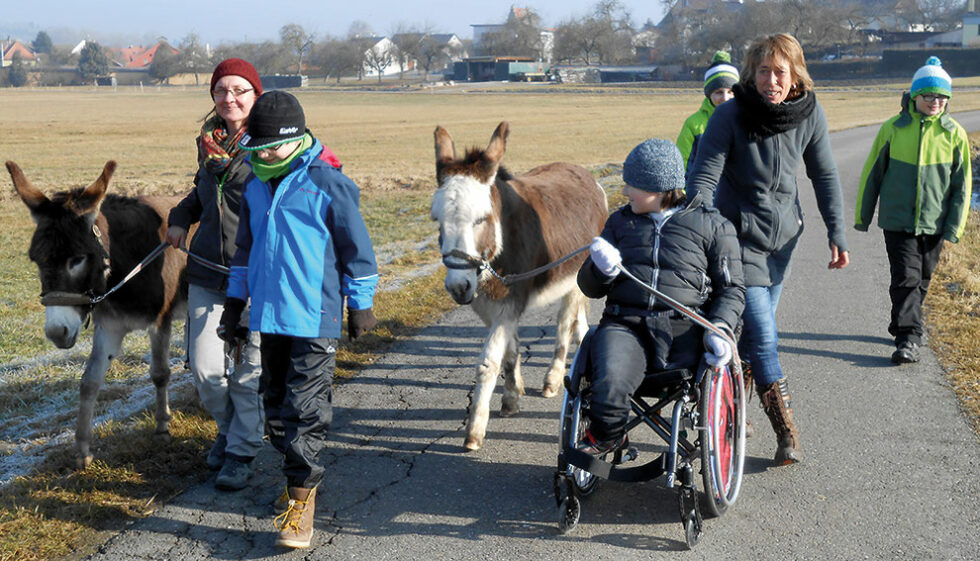 F rderverein Tiere Bewegen Menschen Bauernhoftiere Bewegen Menschen f-rderverein-tiere-bewegen-menschen-bauernhoftiere-bewegen-menschen